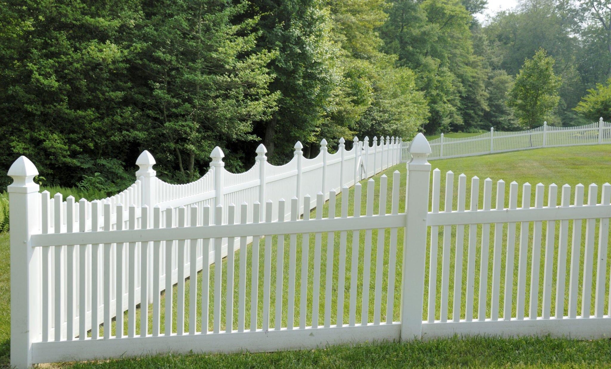 Elevating Your Outdoor Space With Creative Fence Line Landscaping Ideas ...