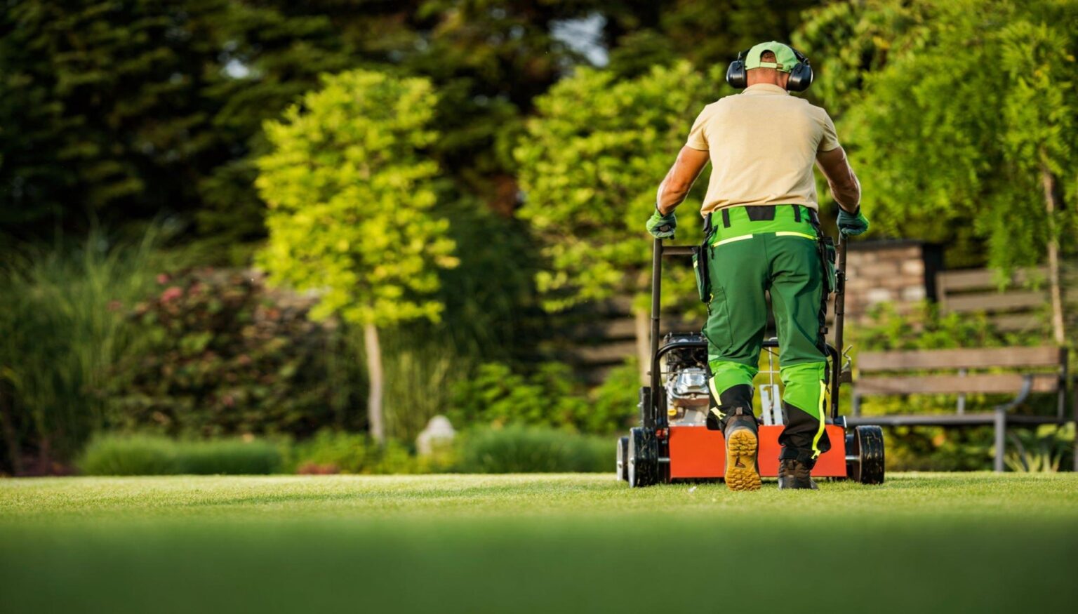 The Ultimate Guide to Caring for Your Verticut Lawn - Service Pro Lawn