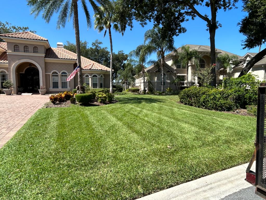 Home - Service Pro Lawn
